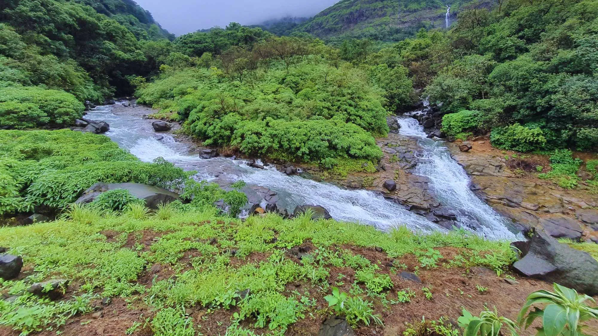 About Andharban Forest: A Journey Through Nature’s Paradise